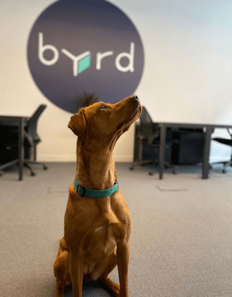 byrd’s year in a review 2022 | byrd