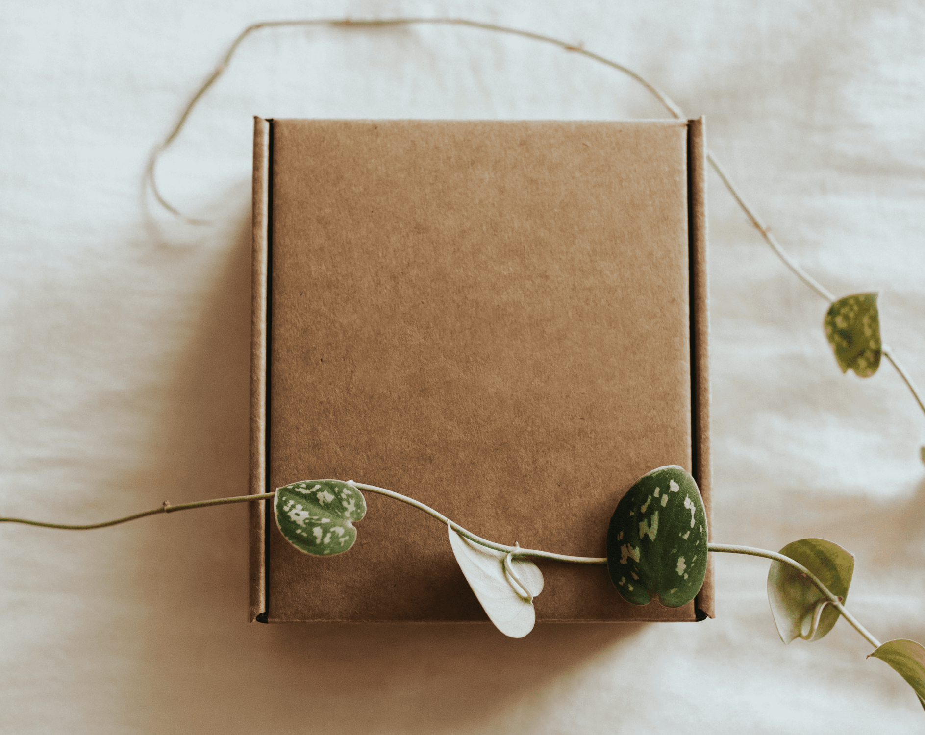 The Rise of Sustainable E-Commerce | byrd